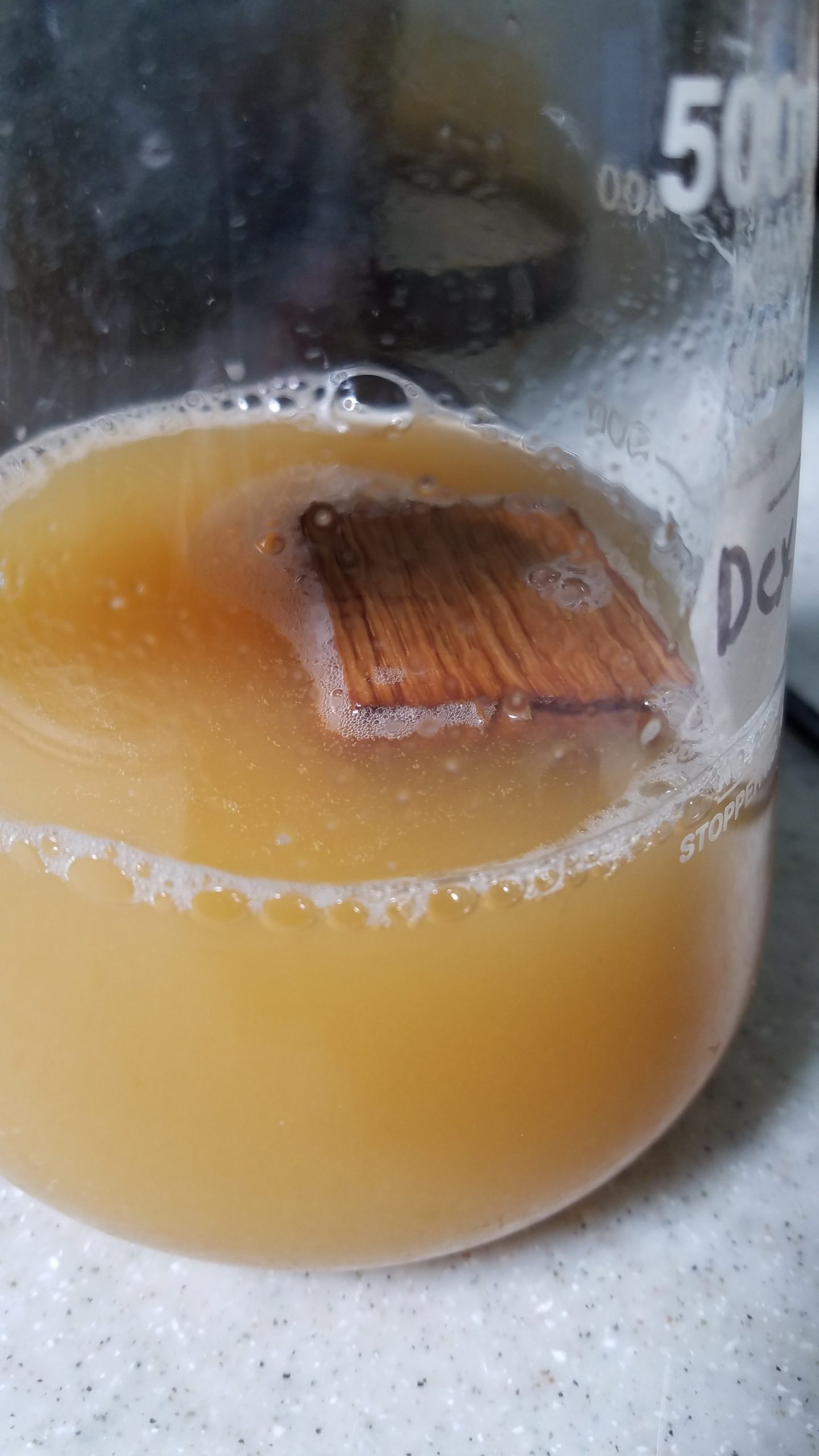 Ancient Ales from the Year 2019 - Angel City Brewery