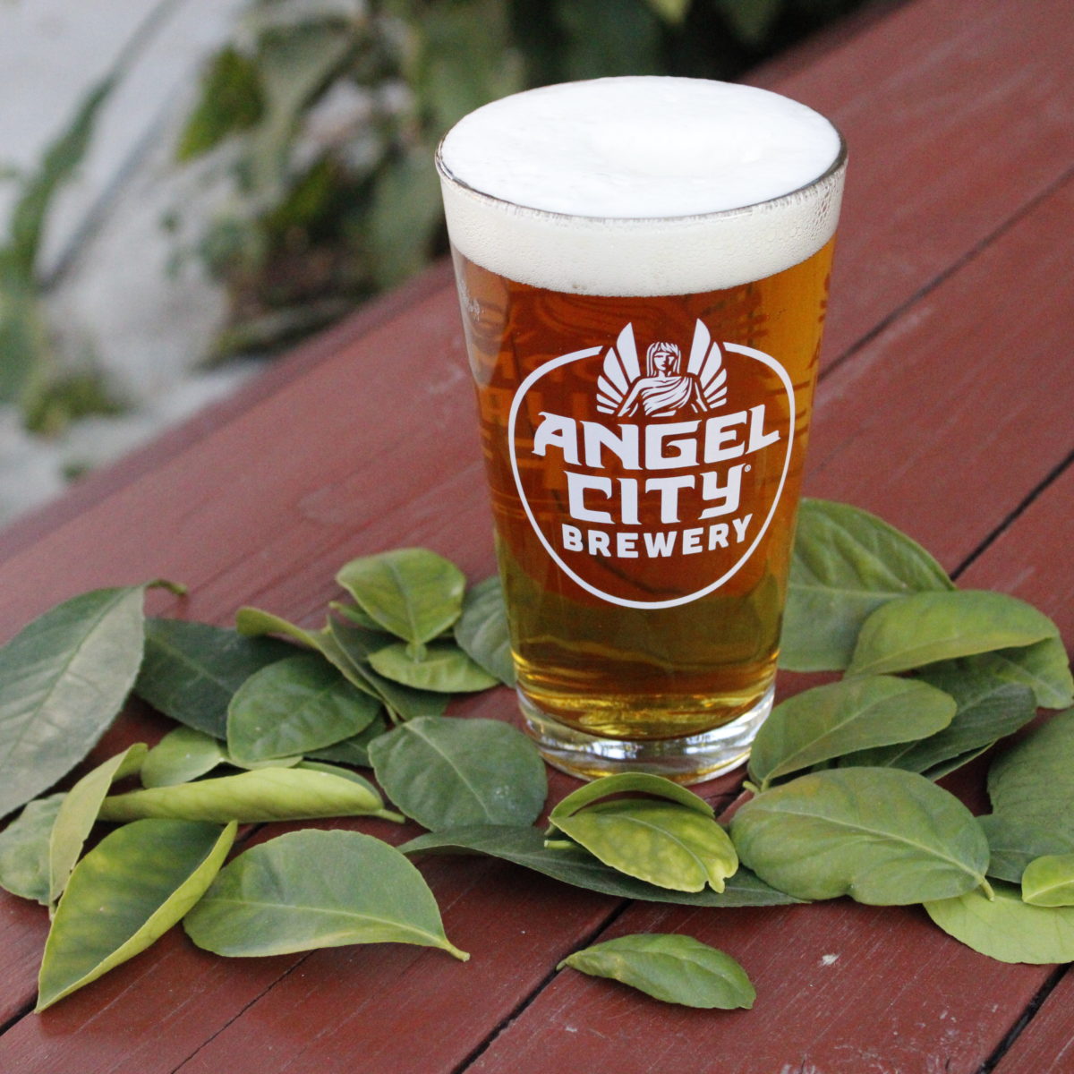 To Live and Thai in L.A. - Angel City Brewery